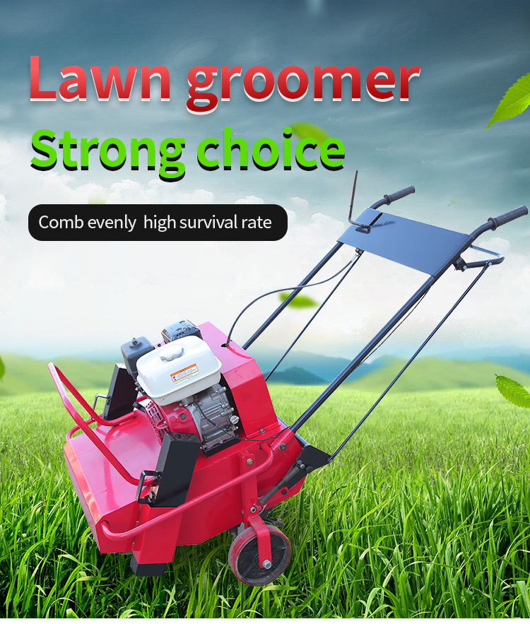 Lawn Hole Puncher - Shandong Meijing Garden Machinery Co., Ltd.
