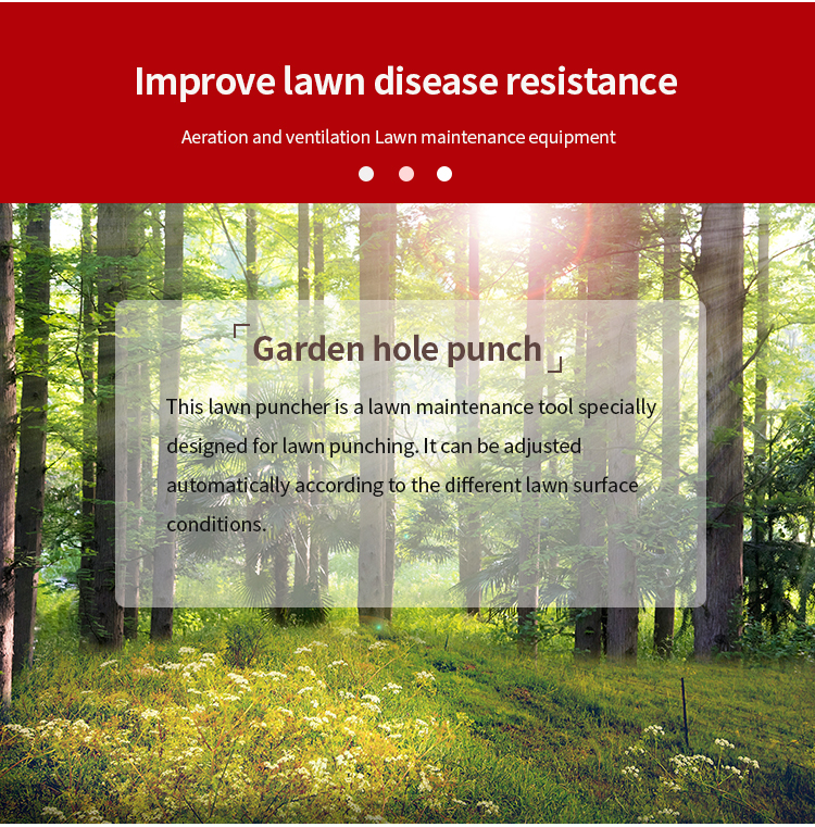 Lawn Hole Puncher - Shandong Meijing Garden Machinery Co., Ltd.